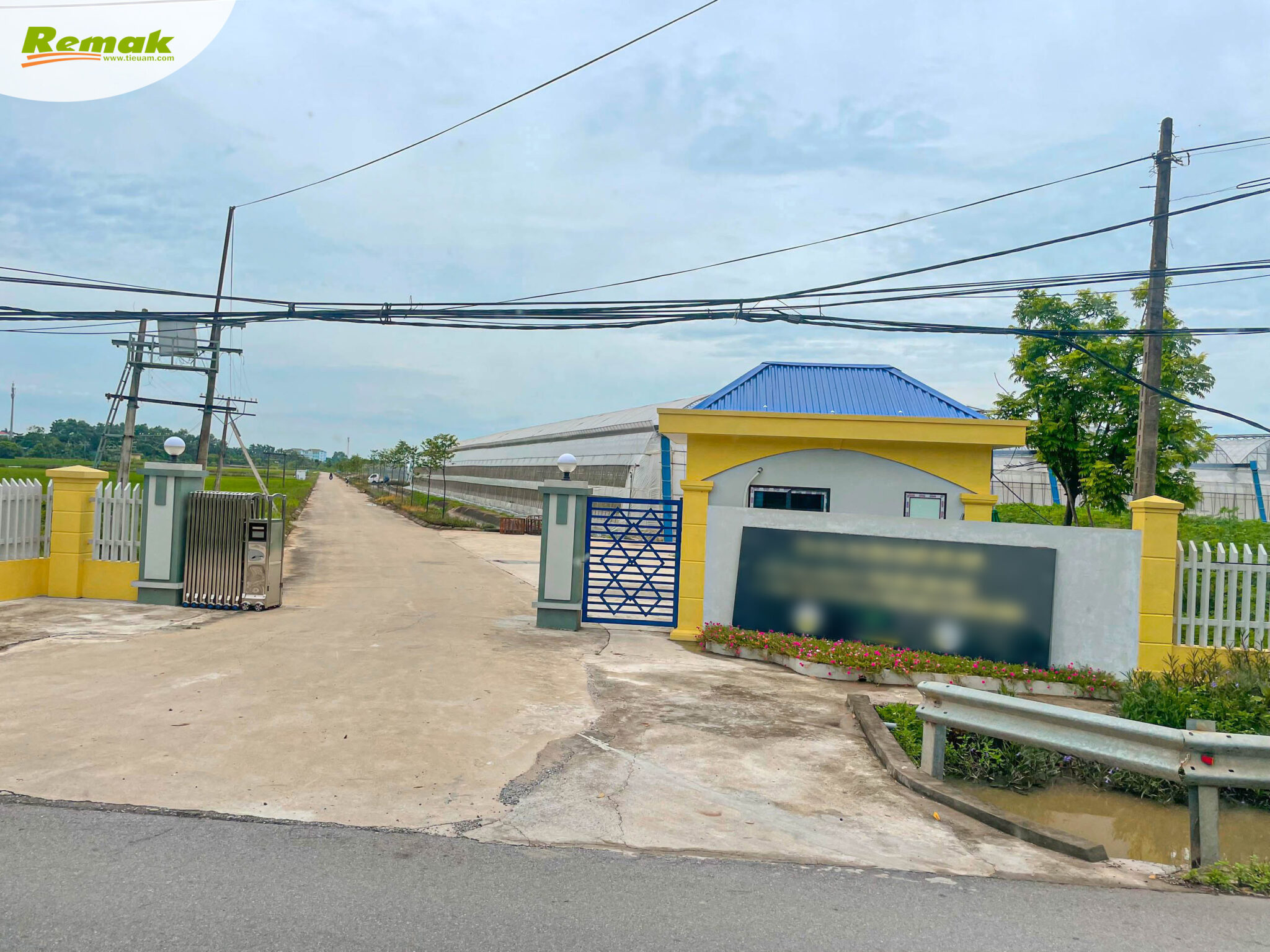 Trung tâm Khoa học – Công nghệ trồng thủy canh khoai tây bằng tấm xốp ...